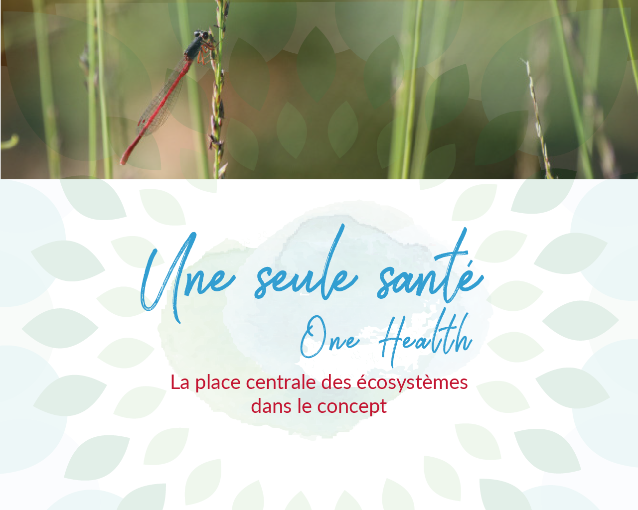 Une seule santé – Agence Régionale de la Biodiversité Nouvelle-Aquitaine